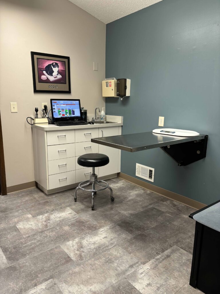 Pet Wellness Exams In Champlin MN | Elm Creek Animal Hospital