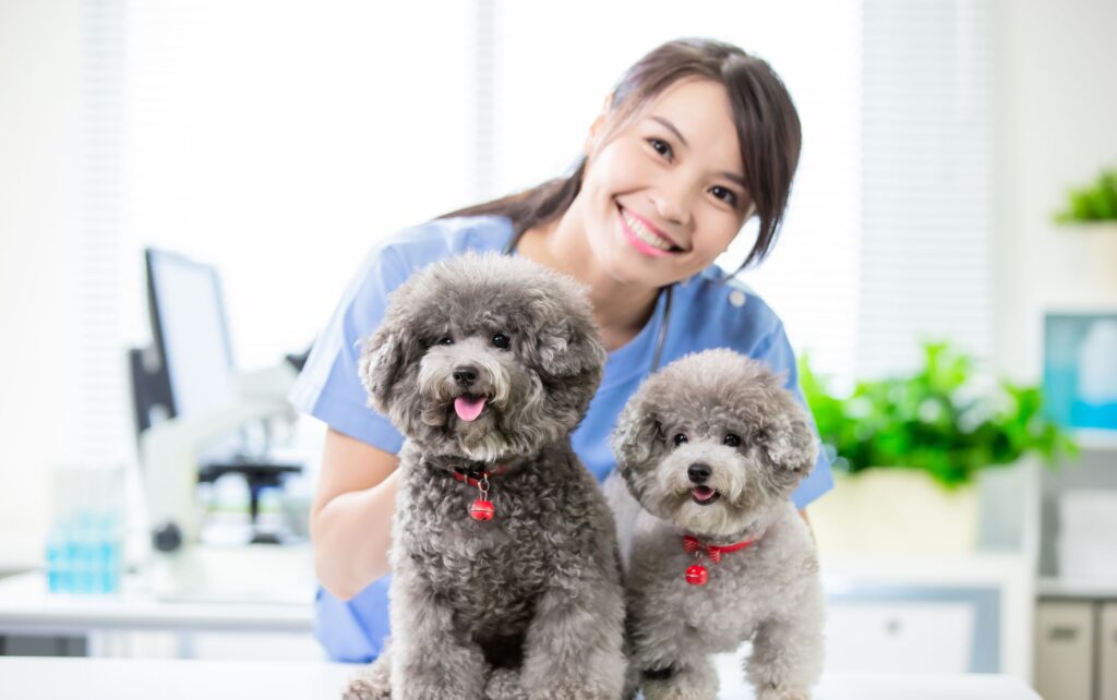 Urgent Pet Care In Champlin, MN | Elm Creek Animal Hospital